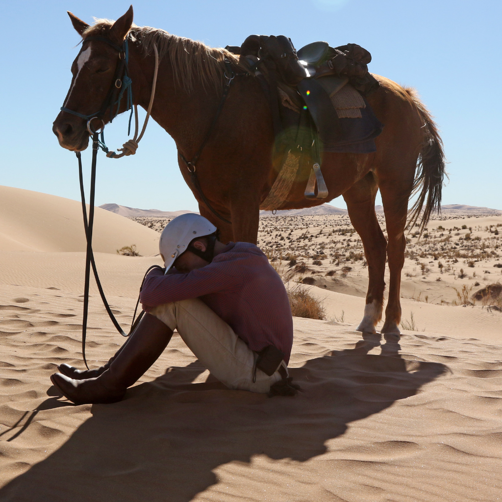 The Author – Walkabout to Wisdom